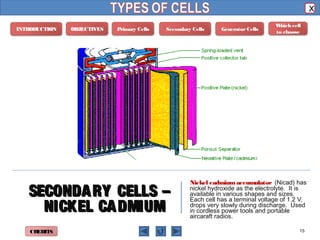 Phyics M4 Types of cells | PPT