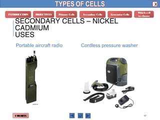 Phyics M4 Types of cells | PPT