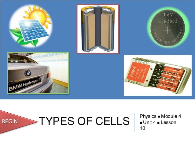 Phyics M4 Types of cells