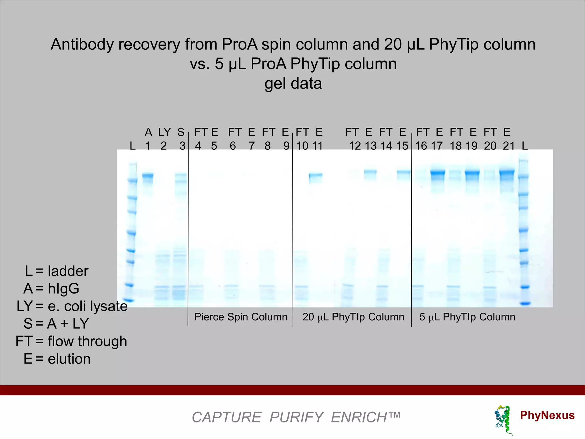 PhyNexus tip concentrating effect | PDF