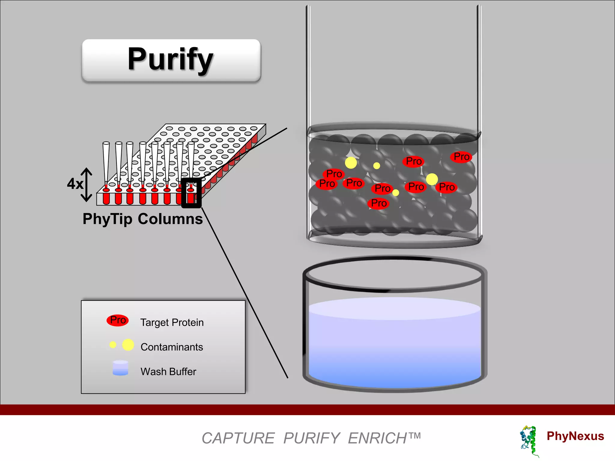 PhyNexus tip concentrating effect | PPT