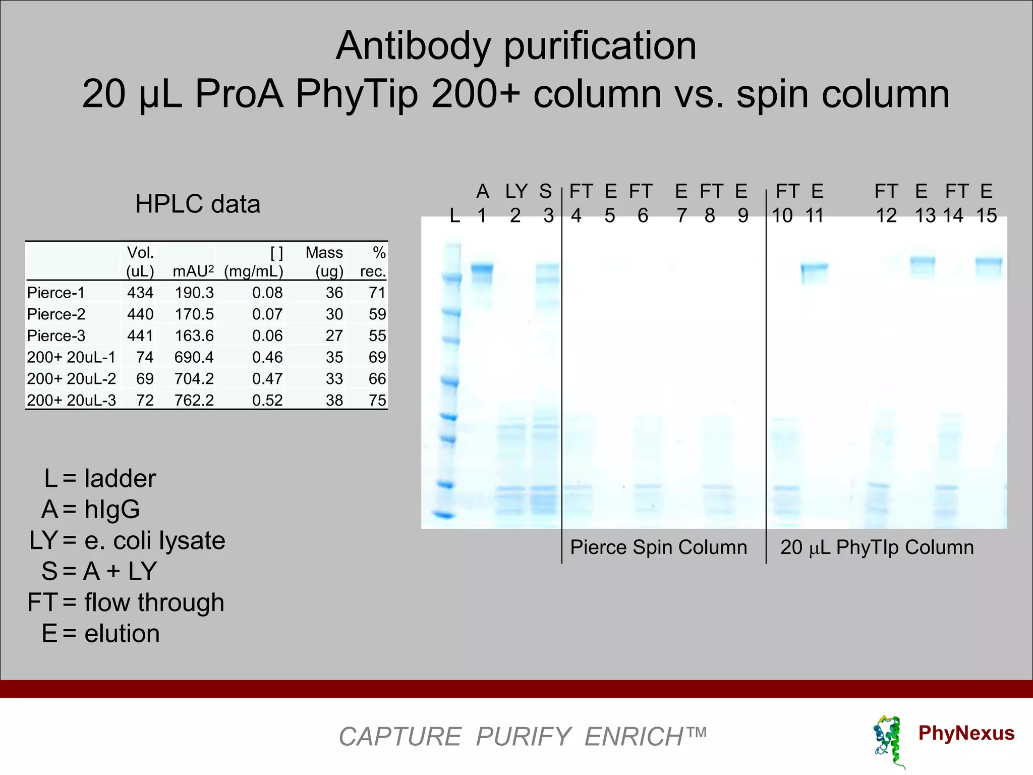 PhyNexus tip concentrating effect | PDF
