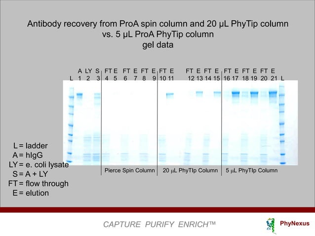 PhyNexus tip concentrating effect | PPT