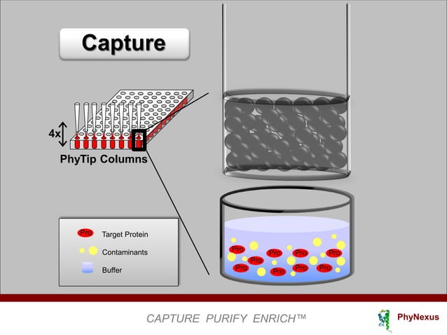 PhyNexus tip concentrating effect | PPT