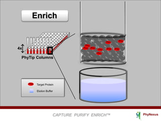 PhyNexus tip concentrating effect | PDF