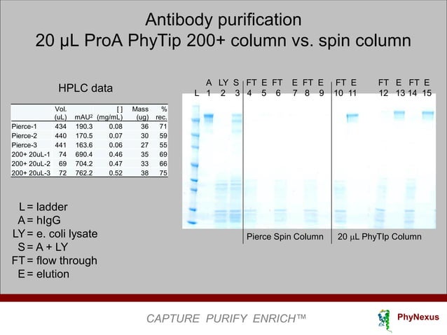 PhyNexus tip concentrating effect | PPT