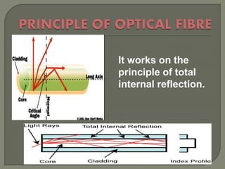 experiment to determine the numerical aperture of an optical fibre.. | PPTX