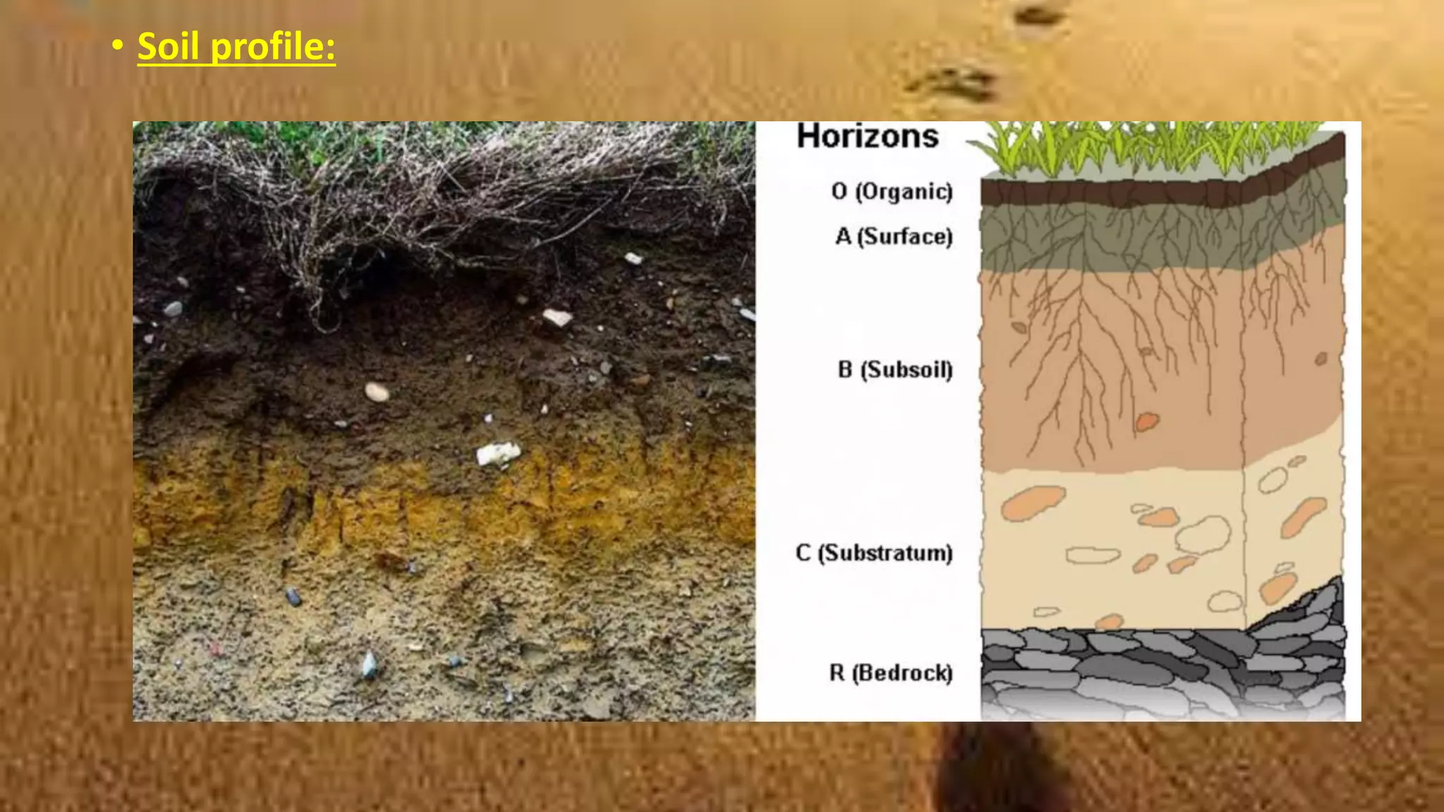 An overview of soil as a physical evidence.pptx | Crime & Harmful Acts ...