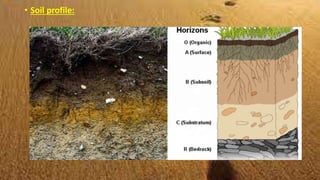 An overview of soil as a physical evidence.pptx