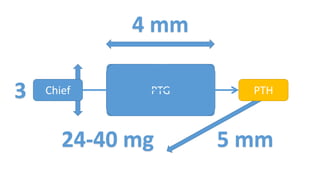 Physiology of the Parathyroid Glands | PPSX