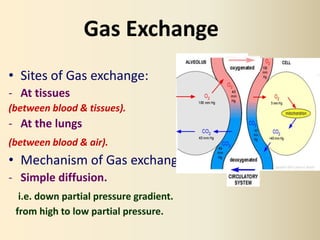Pulmonary Gas Exchange And Transport