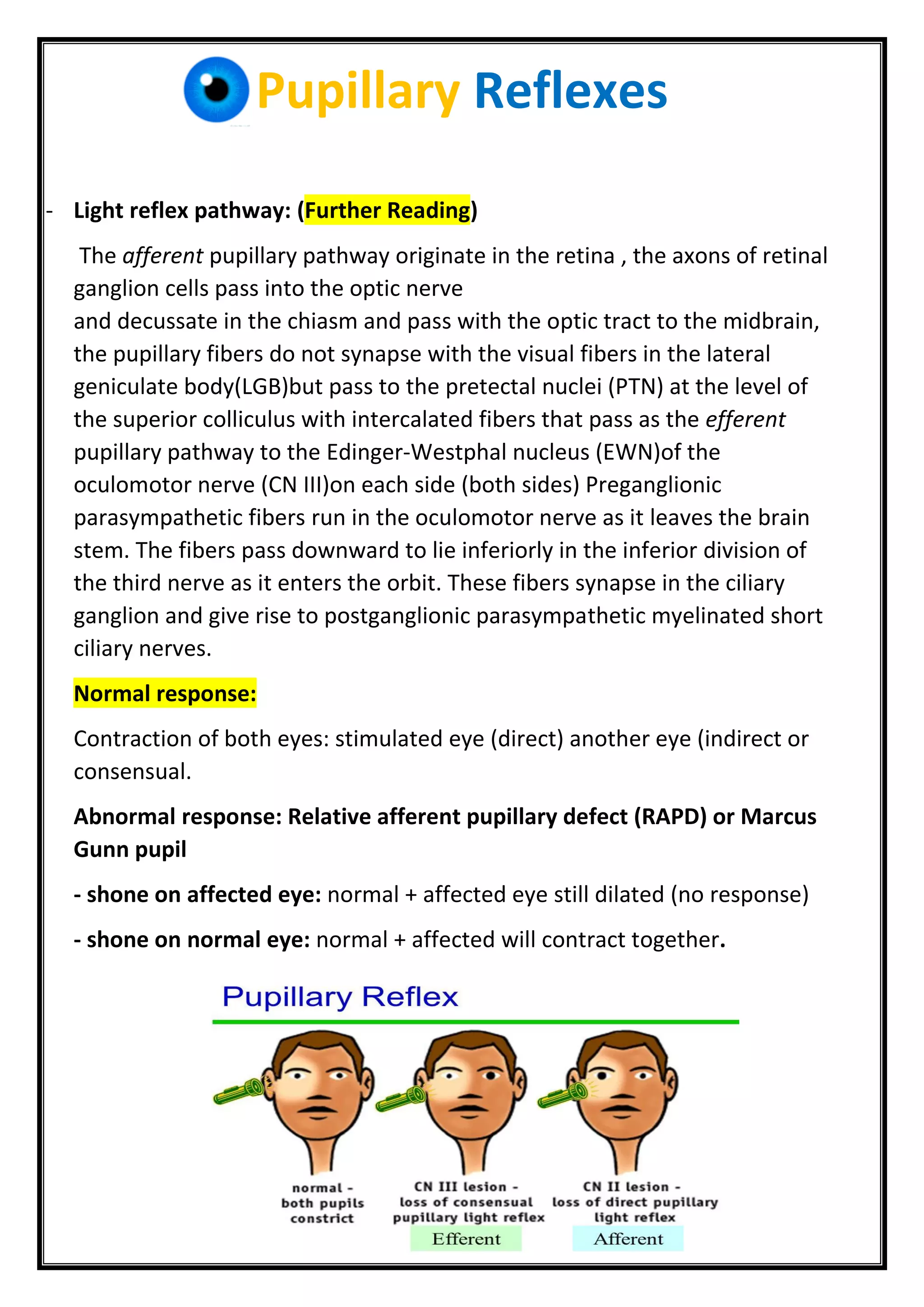 Pupillary reflexes physiology | PDF
