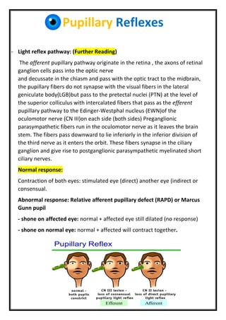 Pupillary reflexes physiology | PDF