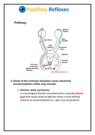 Pupillary reflexes physiology | PDF