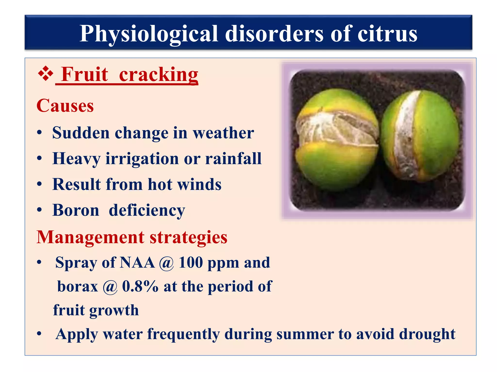 Physiological Disordrs of horticulture crops | PPTX