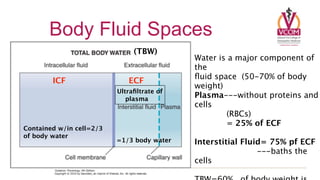 Phys. of fluids electrolytes (7) | KEY