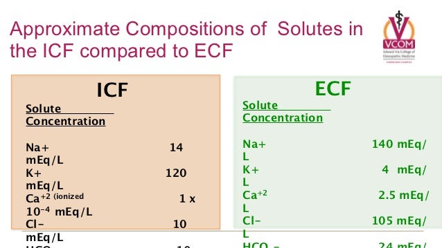 Phys. of fluids electrolytes (7)