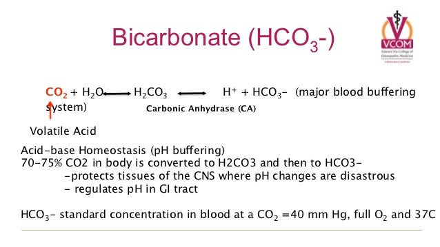 Phys. of fluids electrolytes (7)