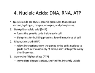 Phys 02 12 Nucleic Acid | PPT