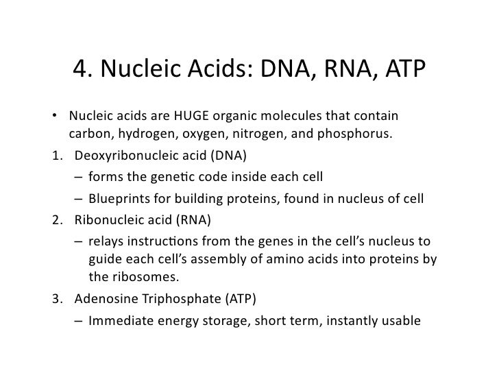 Nucleic Acid Examples In The Body