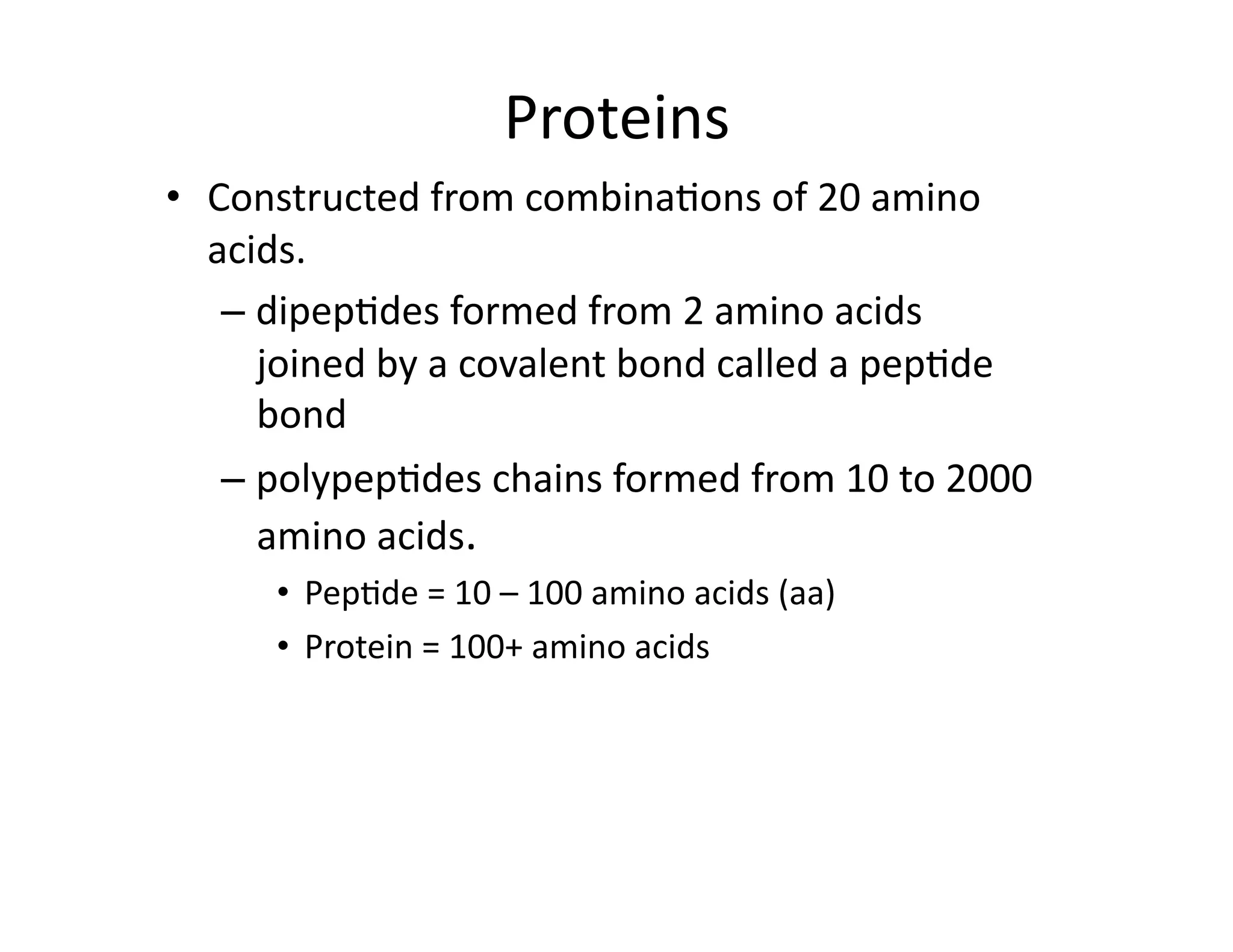 Phys 02 12 Protein | PDF