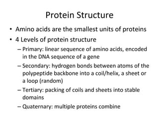 Phys 02 13 | PPT
