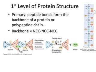 Phys 02 13 | PPT