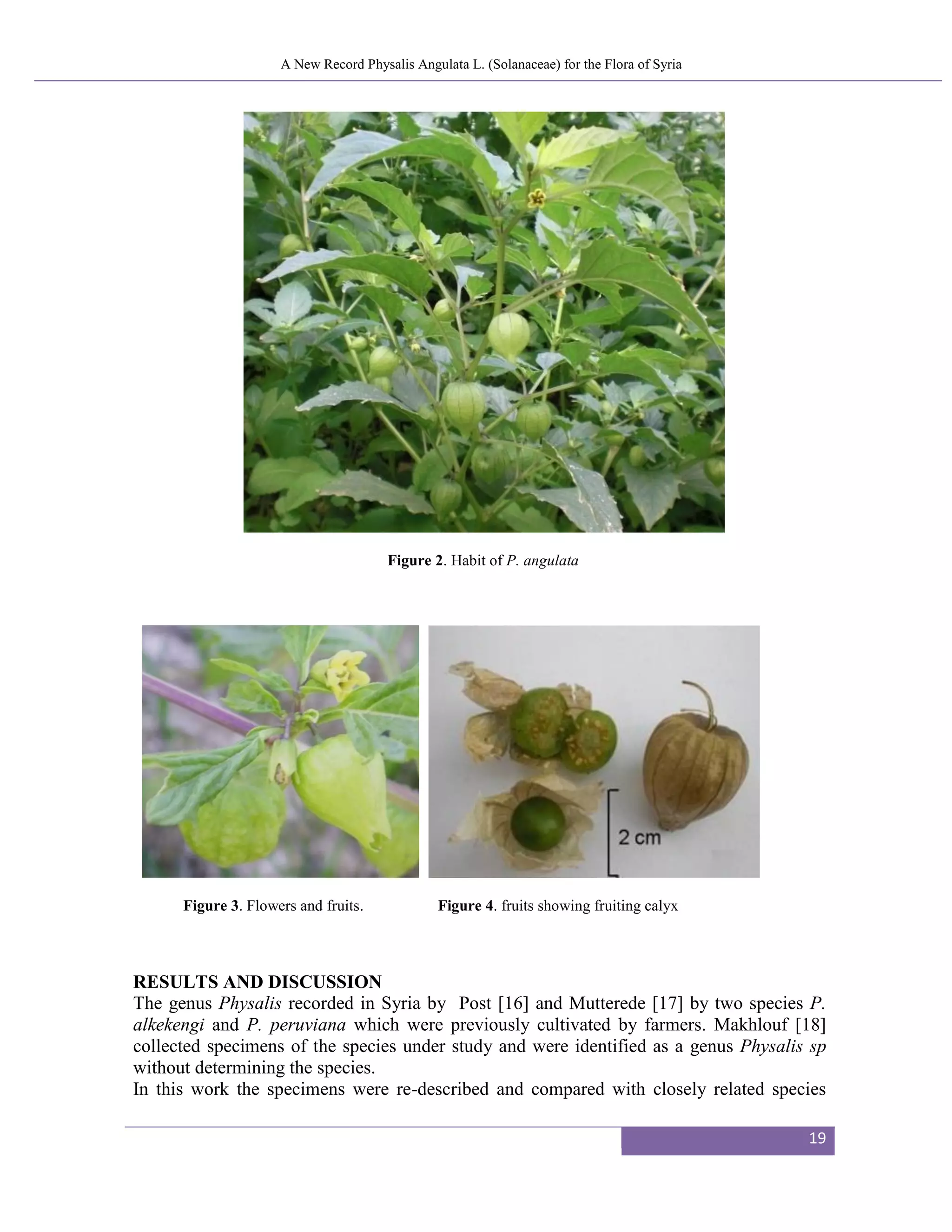 Physalis published | PDF