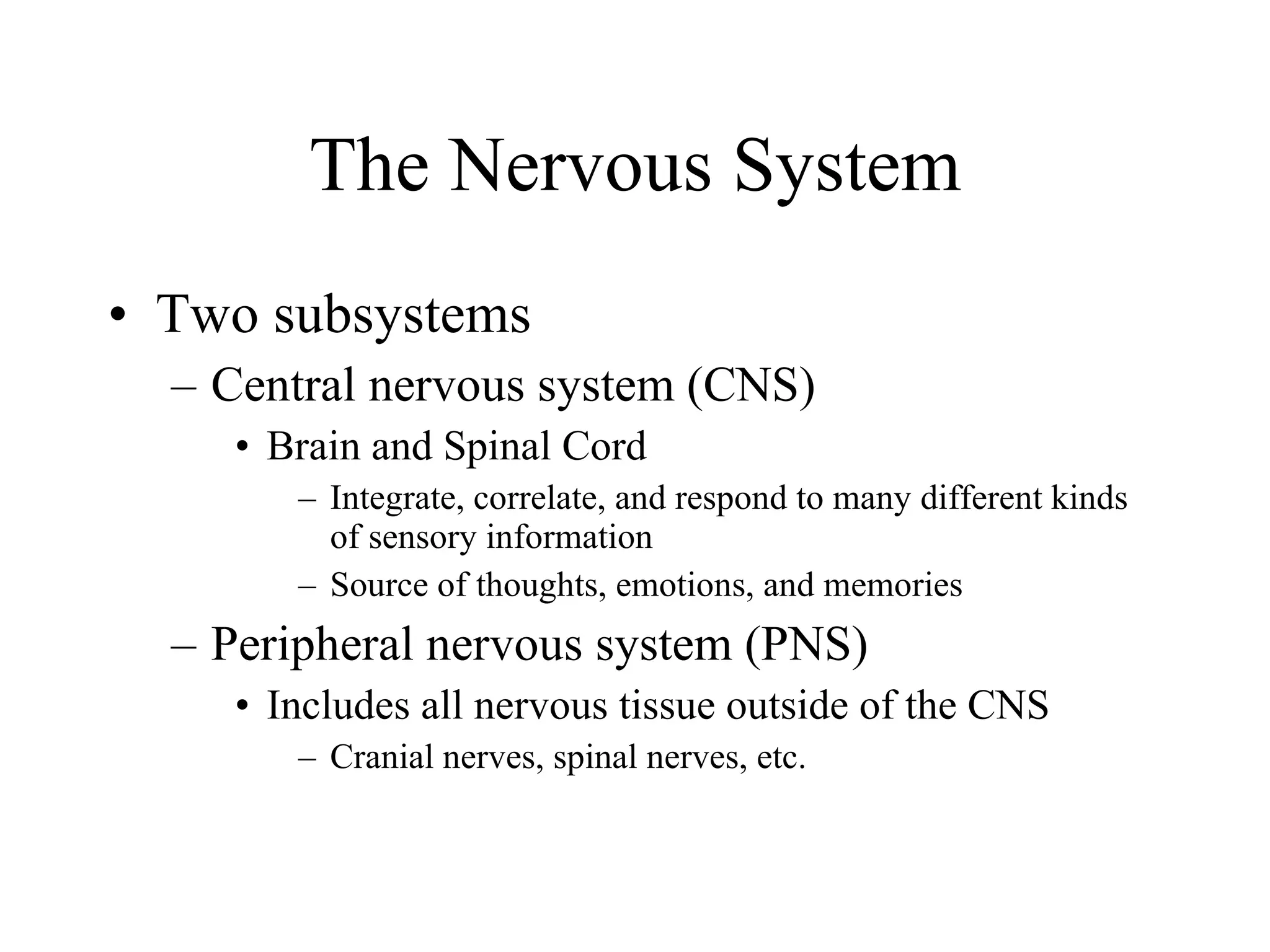 Brain Anatomy & Physiology | PPT | Brain and Nervous System Disorders ...