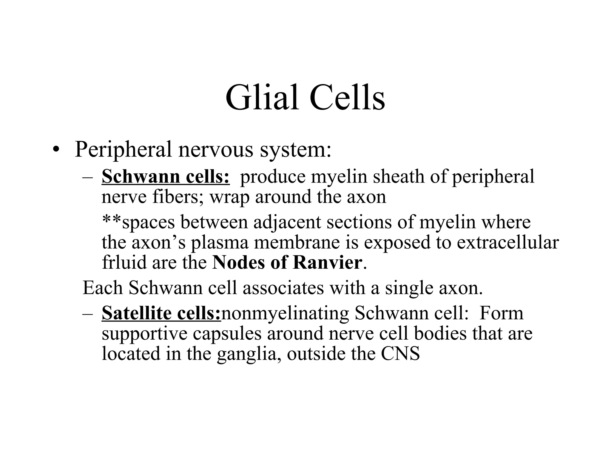Brain Anatomy & Physiology | PPT