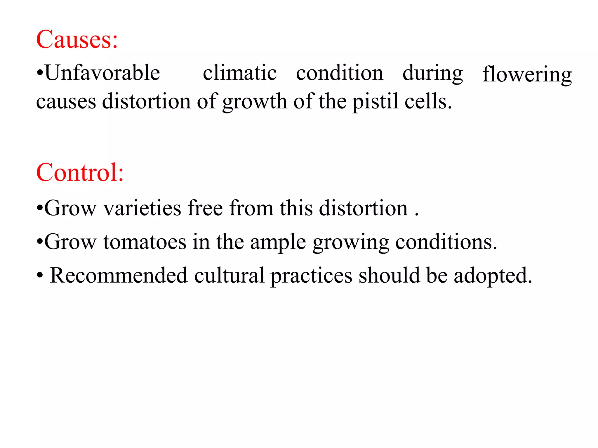 physciologicaldisorderoftomato-200515064519.pptx