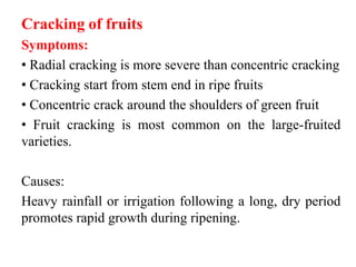 Physciological disorder of tomato | PPTX