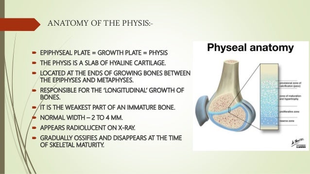 Physeal injuries by Dr. Gaurav Sahu, Indore