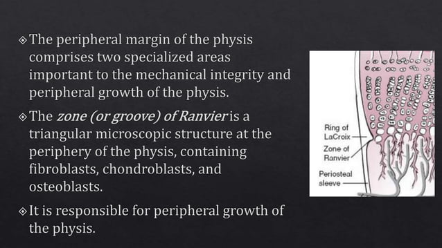 Physeal injuries | PPT