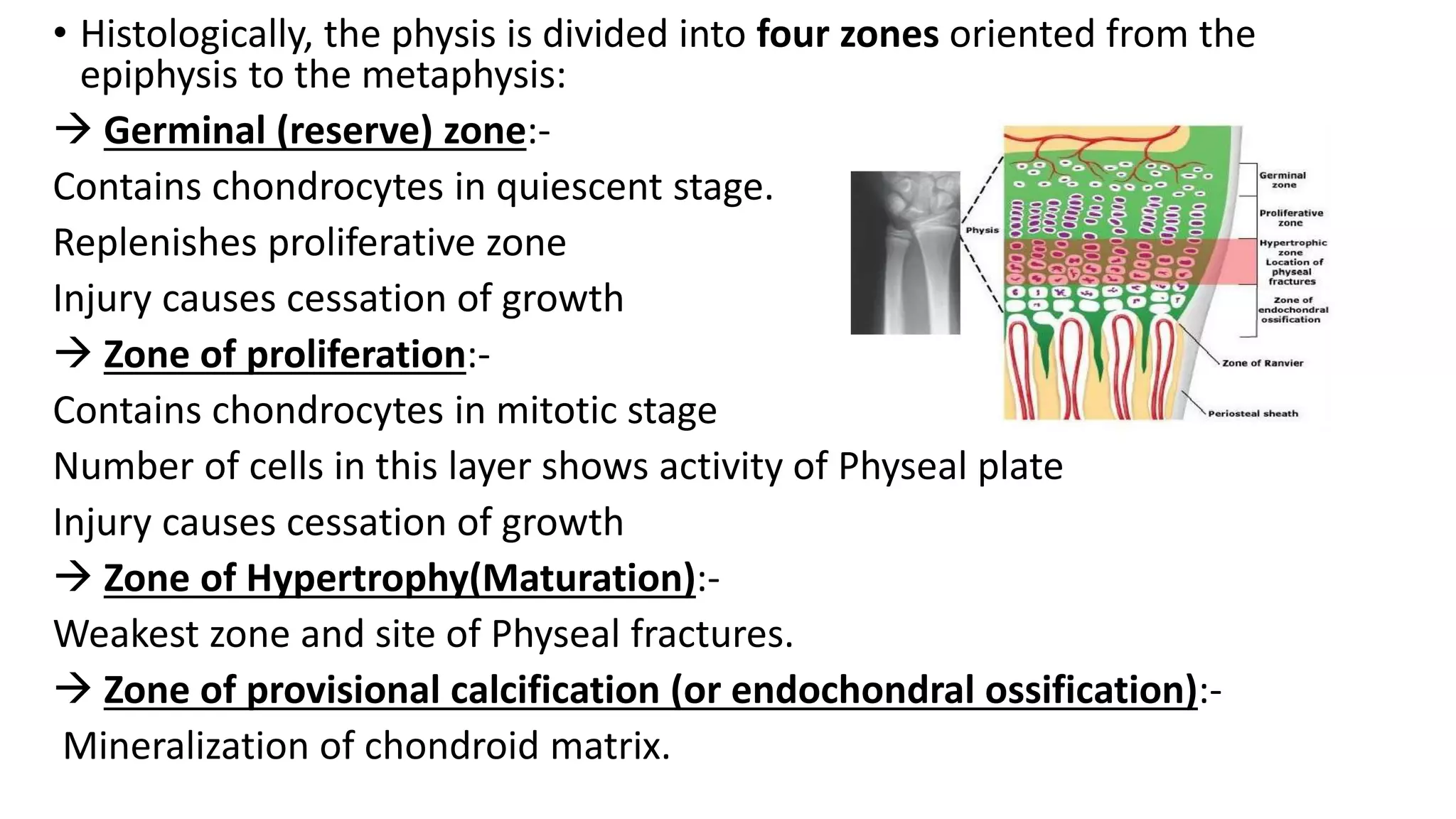 Physeal injuries | PPTX
