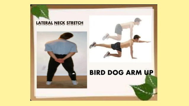 PHYSED 12_Phases of Fitness Exercise.pdf | Free Download