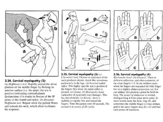 phys exam neck.pptx | Free Download