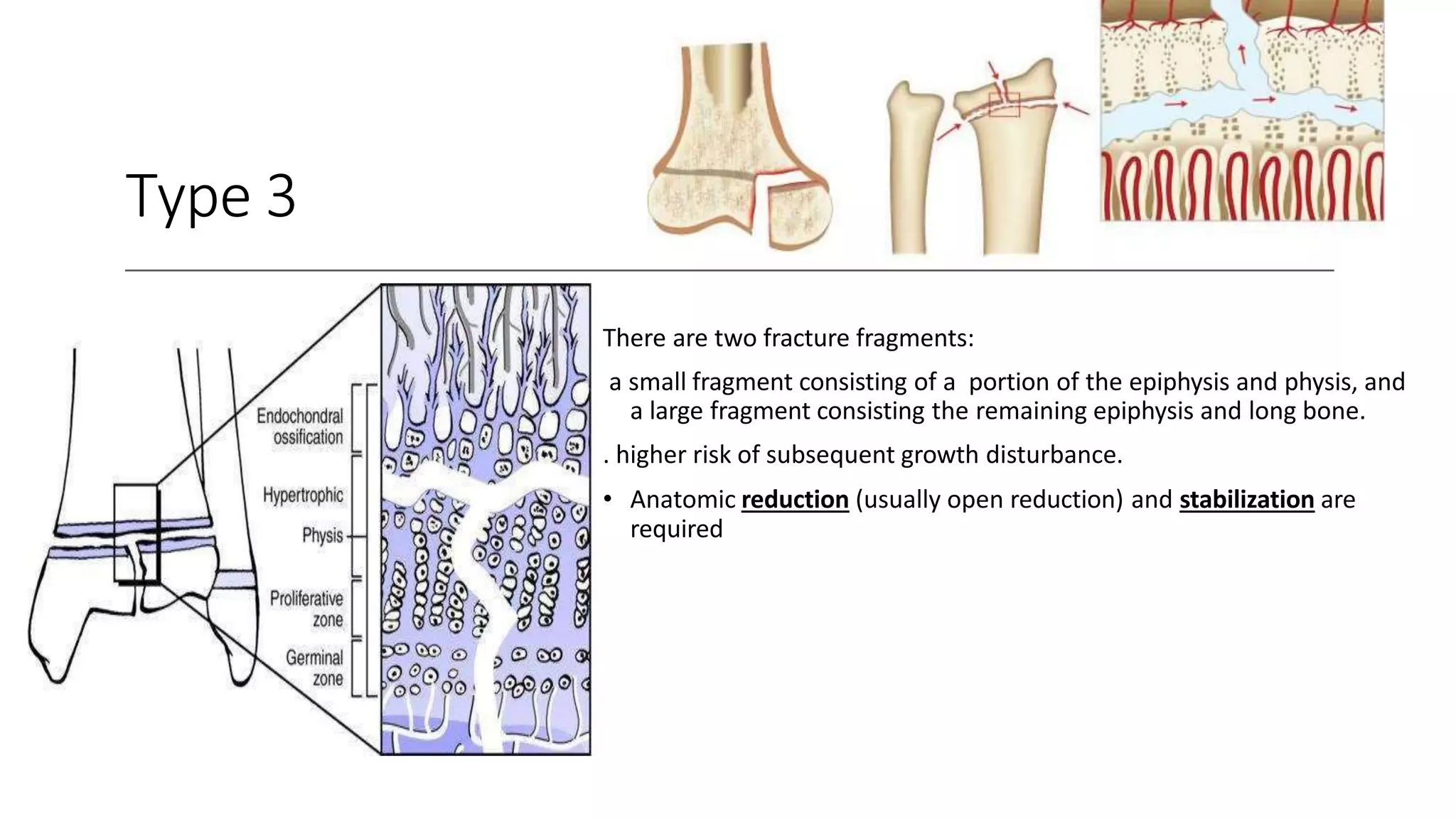 Physial Injuries.pptx