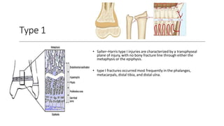 Physial Injuries.pptx