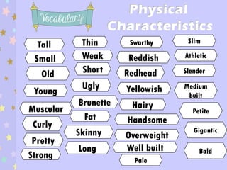 Physical Characteristics Vocabulary | PPT