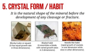 Bladed Habit