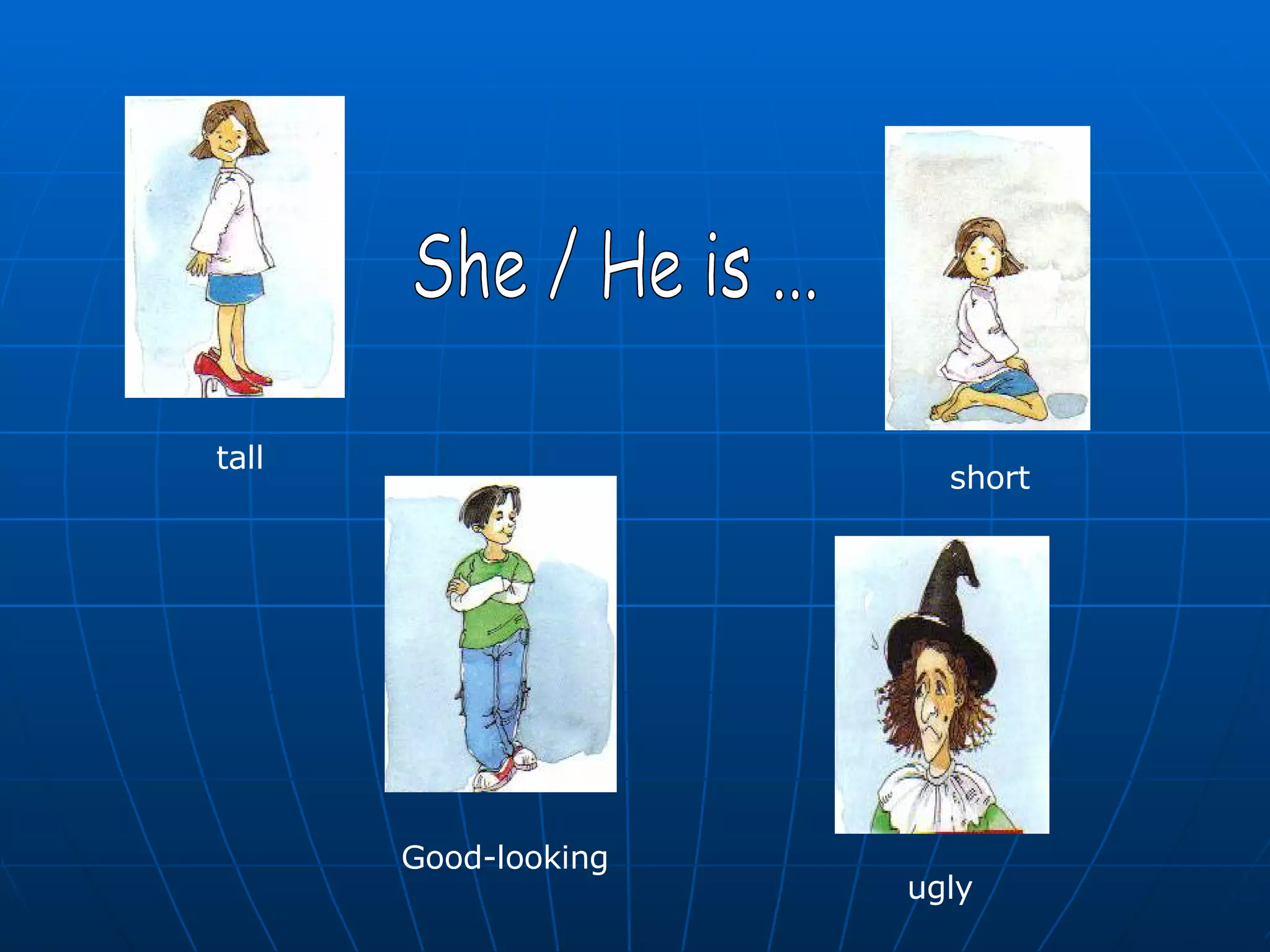 Physical Appearance | PPT