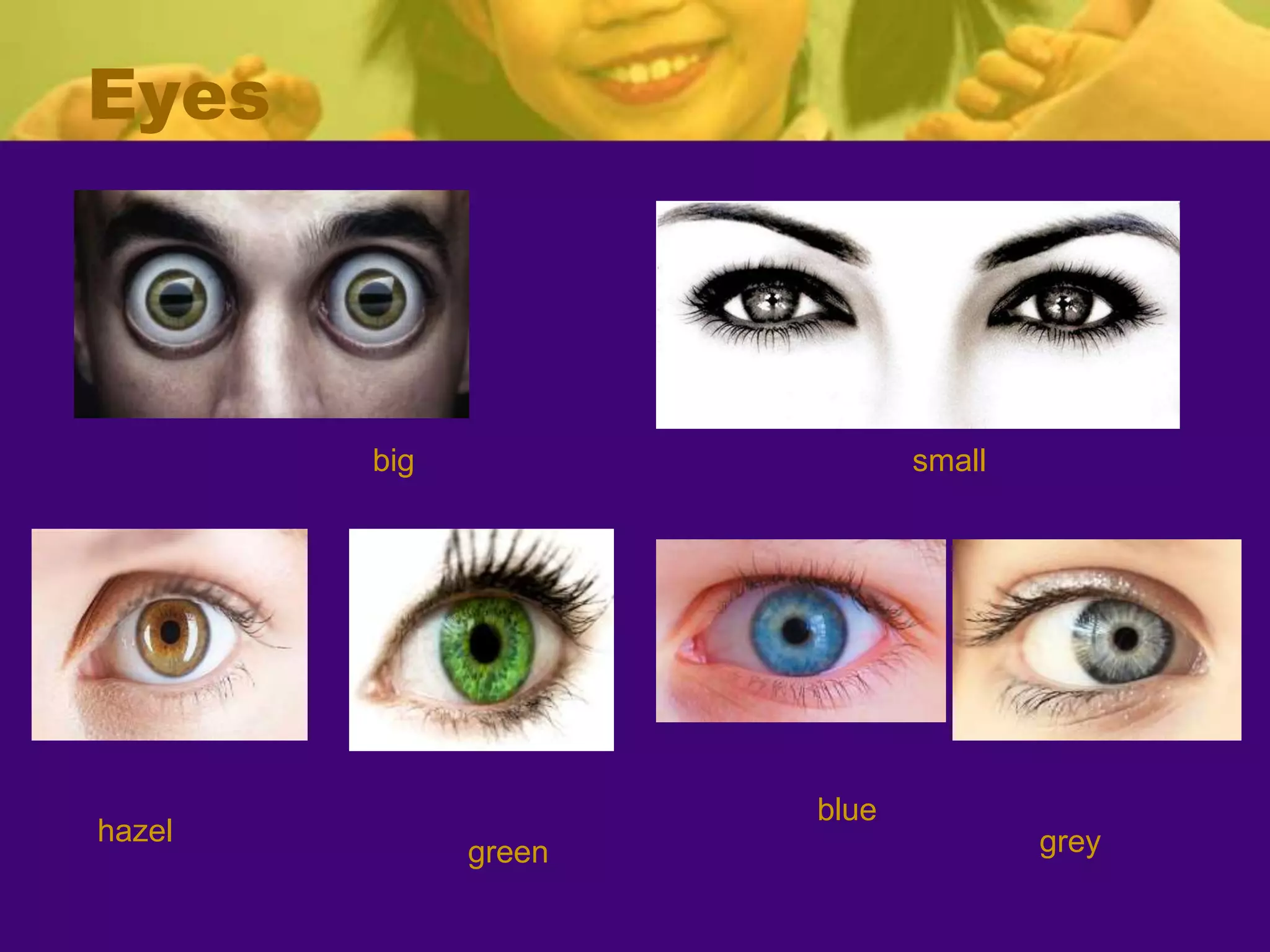 physical-appearence-flashcards-picture-dictionaries_102295.ppt