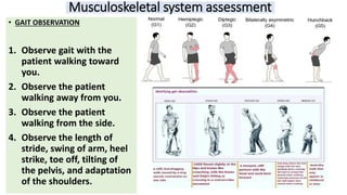 Physical-Assessment-musculoskeletal-neurologic-genitalia-2.pdf