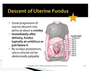Physical-Assessment-of-Post-Partum-Mother.pptx