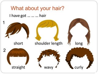 physical-description-fun-activities-games-worksheet-templates-layouts ...