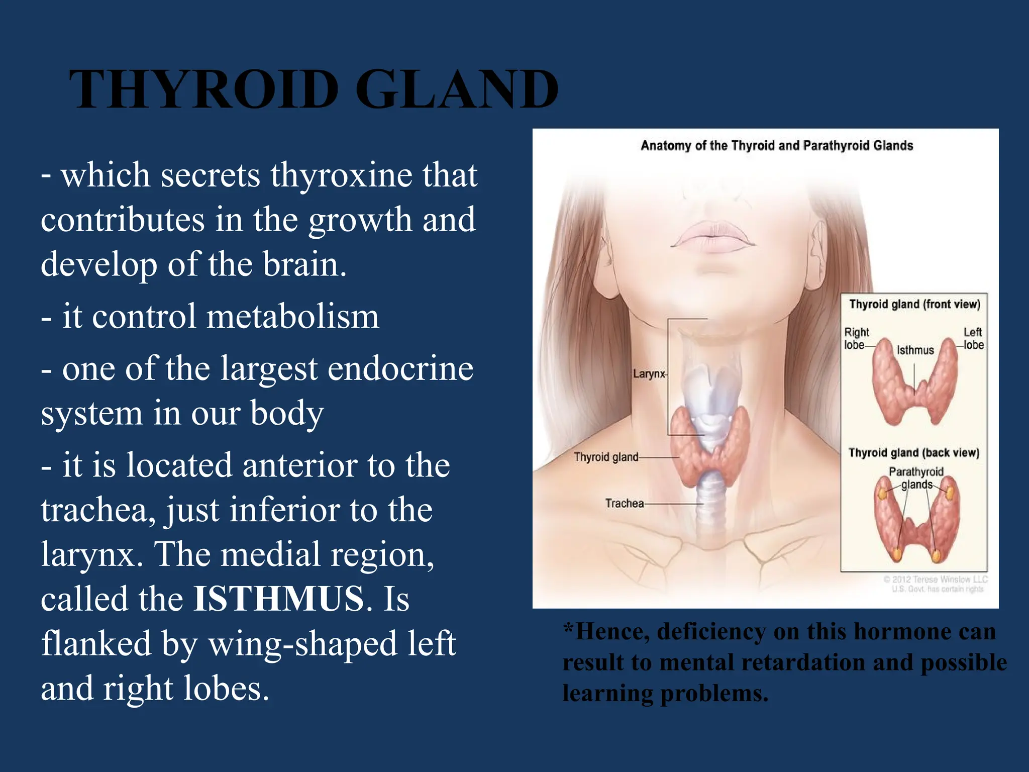 PHYSICAL-DEVELOPMENT-ACROSS-LIFE-STAGES.pptx
