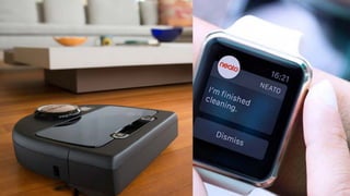 The Physical Interface | PPT