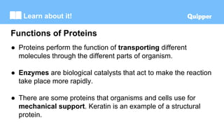 Physical-Science-SHS-8.1-Proteins.pptx