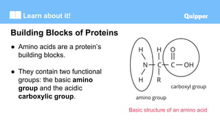 Physical-Science-SHS-8.1-Proteins.pptx